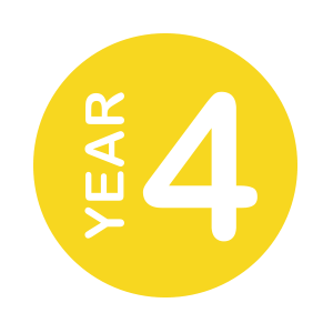 Year 4 – Hurley Primary School