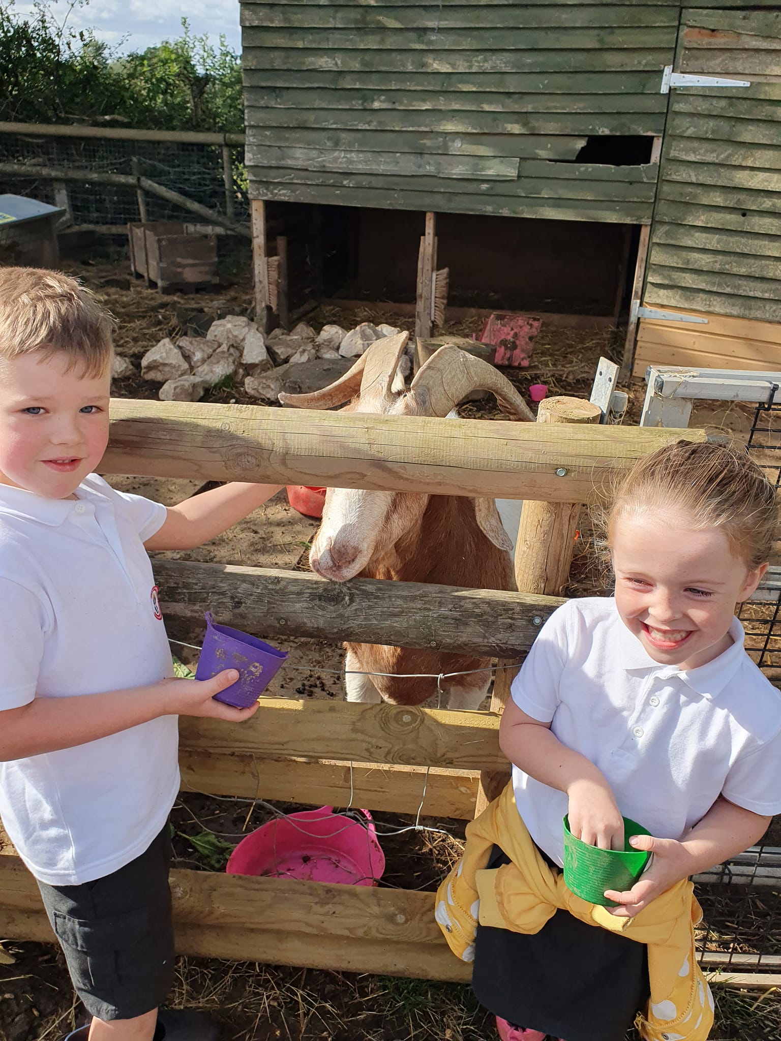 Hurley Primary School